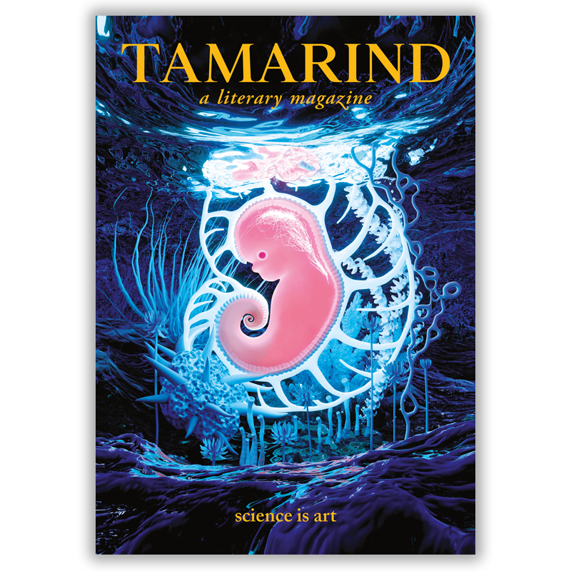 Issue 4 – Tamarind Literary Magazine