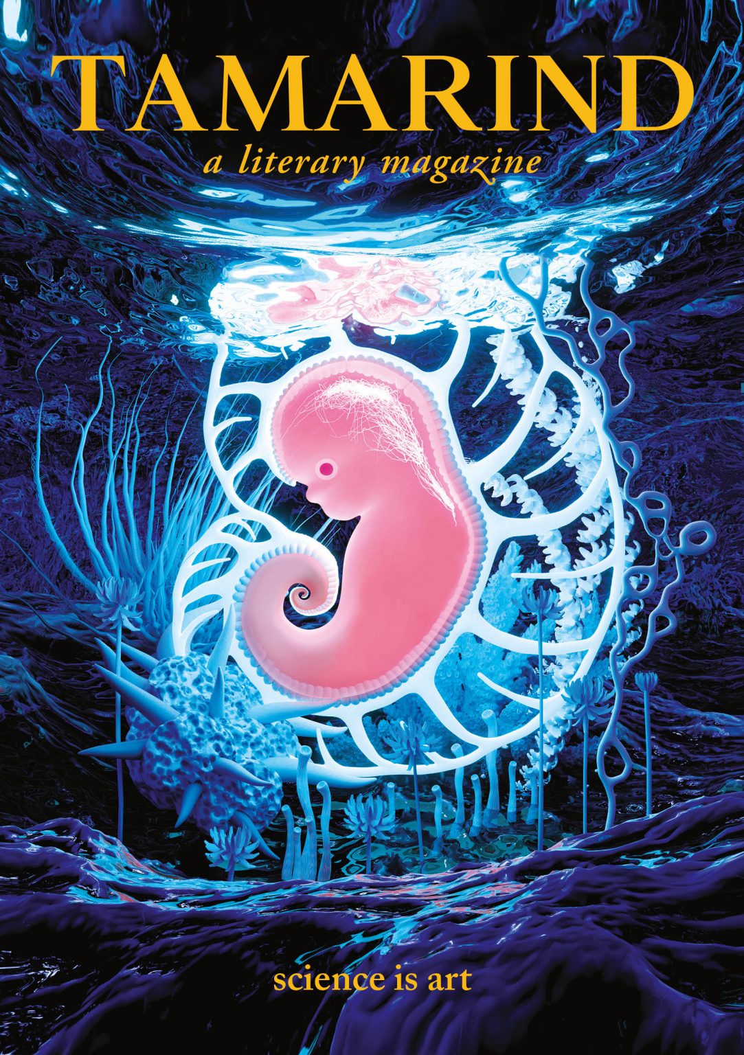 2022 – Tamarind Literary Magazine